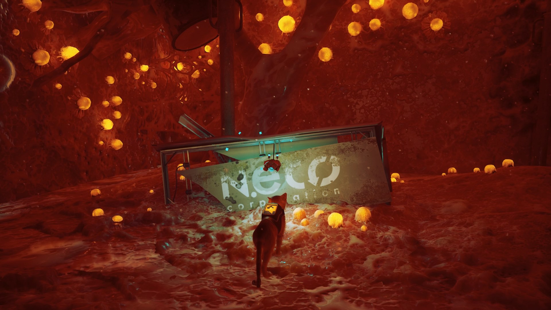 Todas as memórias de Stray [Guia] | Magnaway